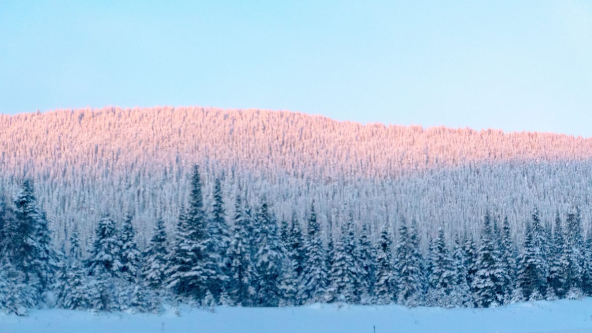 Exploration en ski hors-piste au Saguenay